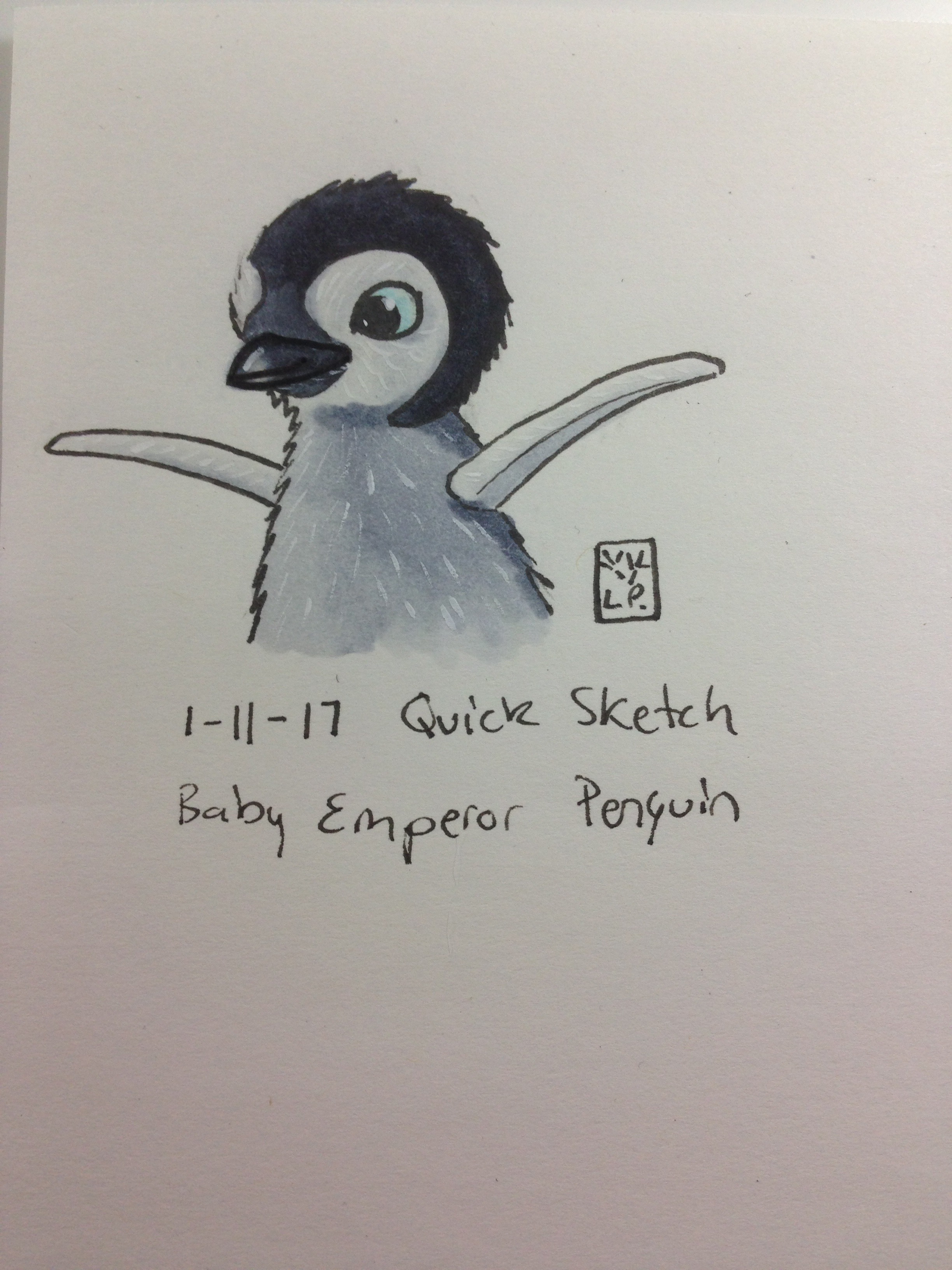 Baby Emperor Penguin Quick Sketch | Quack Quack Honk Designs